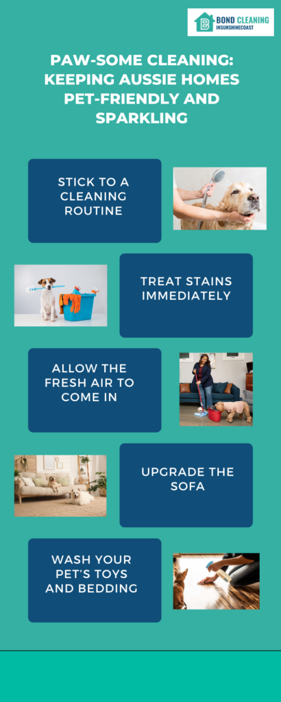 Keeping Homes Pet-Friendly & Sparkling | Bond Cleaning in Sunshine Coast